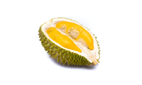 Tips Menanam Bibit Pohon Durian Musang King hingga Panen