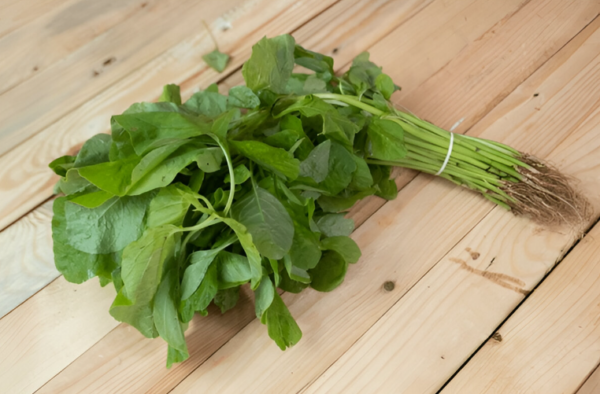 Budidaya Bayam dari Cara Menanam dan Merawat untuk Hasil Optimal